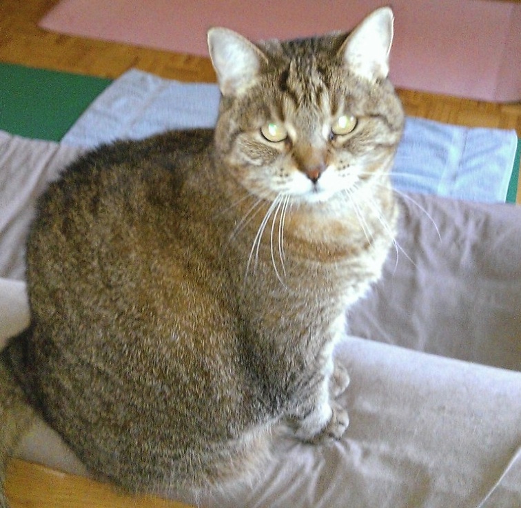 Bending, stretching, sweating and remembering to breathe | Deep Blonde ...